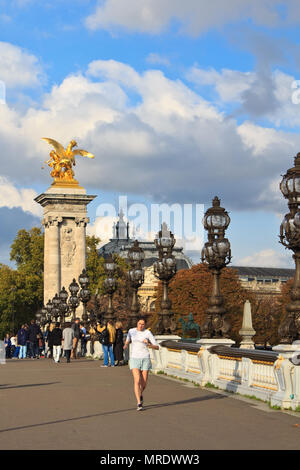The beautiful Alexander III bridge in Paris Stock Photo - Alamy