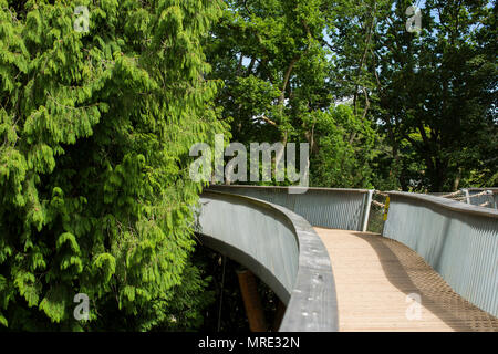The STIHL Treetop Walkway in Westonbirt Arboretum Stock Photo - Alamy