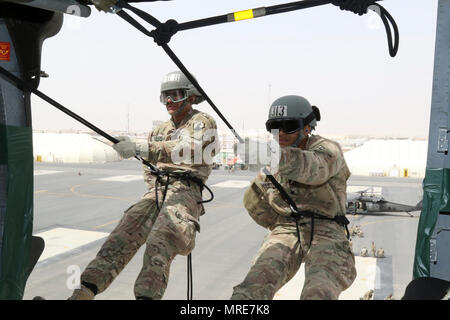 176th Medical Brigade (United States) Shoulder Sleeve Insignia Stock ...