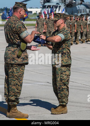 Col. Christopher Ward receives the colors from Brenda Lee McCullough ...