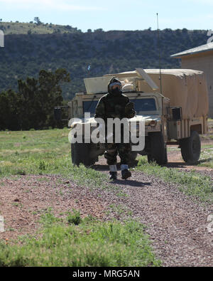 Sgt. Stephen Moreno, explosive ordnance disposal specialist, 797th ...