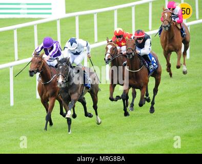 Ronan Whelan on day one of Royal Ascot at Ascot Racecourse, Berkshire ...