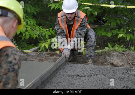 The Honor Guard with members of the 45th Support Battalion, Schofield ...