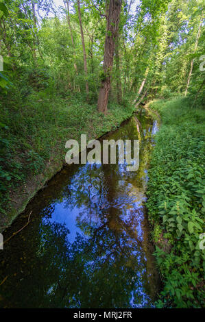 De Haagse beek Stock Photo - Alamy