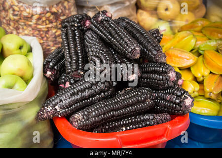 Peru. Black maize cobs, or corn, for sale at Pisac market during the ...