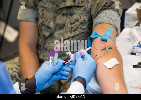 A Navy Corpsman takes blood samples for prescreening during a Walking ...