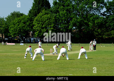 Cricket - A general view of a English village cricket match in summer ...