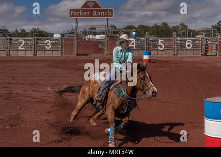 Rodeo Hawaii High School State Finals The Big Island Bullriding Stock ...