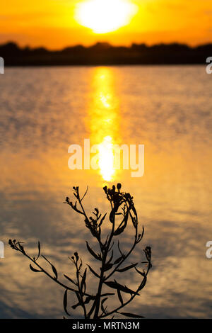 Cliffe Pools just outside of Rochester in Kent, from late afternoon to ...