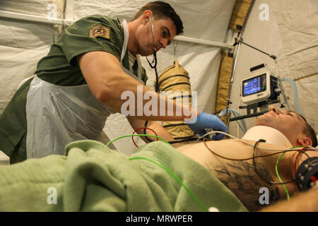 Corporal James Gummow, a medic with 2nd General Health Battalion, 17th ...