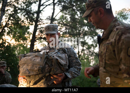 Sgt. Oswald Sanchez, a cavalry scout with B Troop, 1/221 Cavalry ...