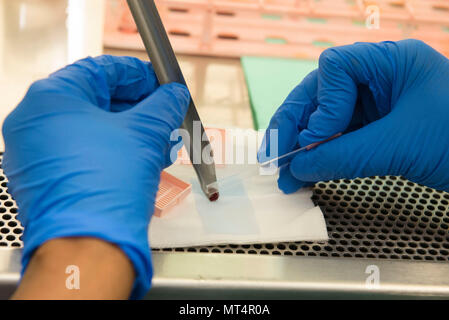 Pamela Baker, 88th Medical Operations Squadron cytology technician ...