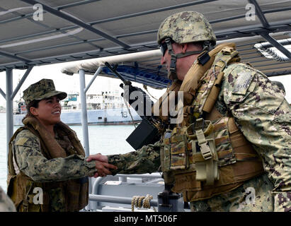 Rear Adm. Brian Brakke, commander of Navy Expeditionary Combat Command ...