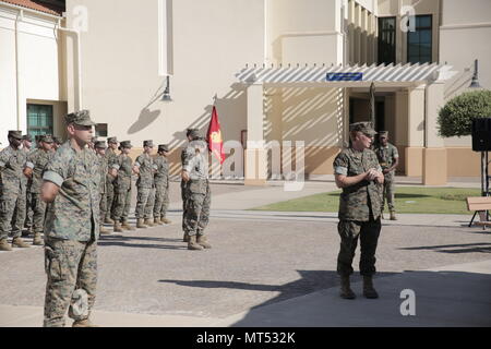 Lieutenant Col. Karin Fitzgerald, the commanding officer of Special ...