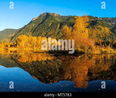 Autumn colors at Cheam Lake Wetlands Regional Park with the Mount Cheam ...