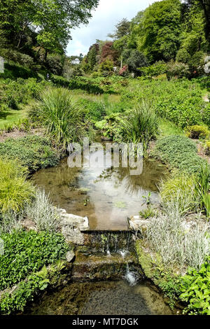 Small UK garden stream water feature Stock Photo - Alamy