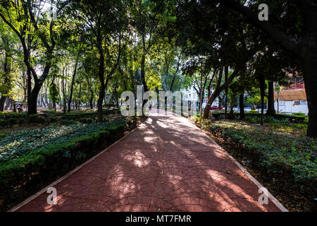 Parque Mexico, Colonia Condesa, CDMX, Mexico, city Stock Photo - Alamy