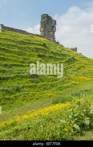 The ruins of Tutbury Castle in the village of Tutbury, Staffordshire ...