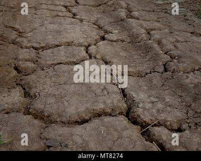 Break ground , breaks ground fissures of the ground Stock Photo - Alamy
