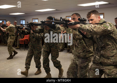 An integrated platoon of Marines with 6th Engineer Support Battalion ...