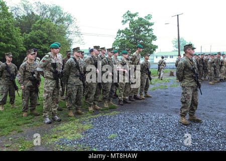 An integrated platoon of Marines with 6th Engineer Support Battalion ...