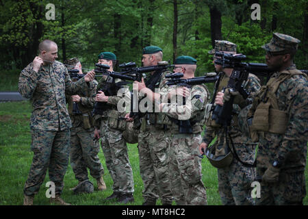 An integrated platoon of Marines with 6th Engineer Support Battalion ...