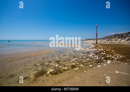 Elmer beach sea defences at Middleton on Sea near Bognor Regis, West ...