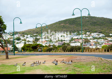 Australia, Western Australia, the city of Albany Stock Photo - Alamy