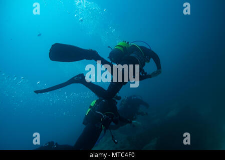 three divers in immersion, fuerteventura canary islands Stock Photo - Alamy