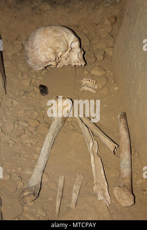 The most ancient skeletal remains of man 1 Stock Photo - Alamy