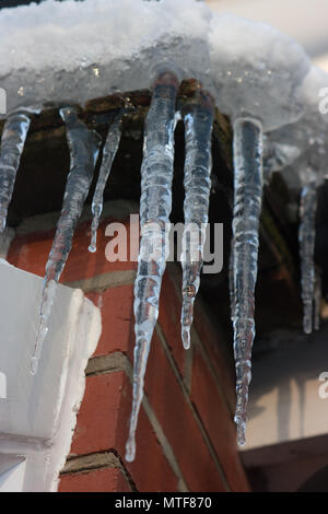 Icicles hanging from snow covered roof Norfolk Stock Photo - Alamy