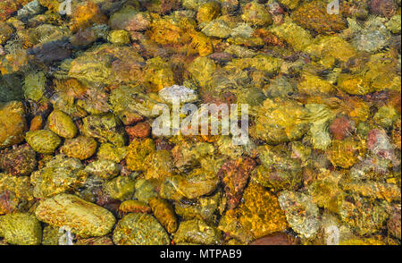 Sea pebble stones and multicolor rocks on beach at sunny day Stock ...