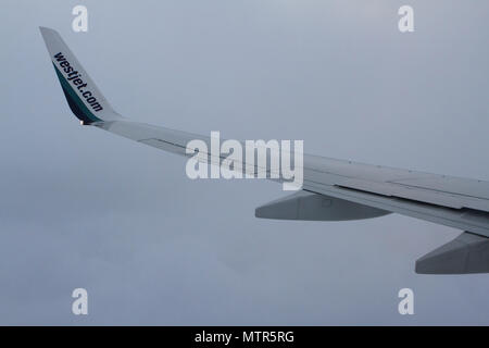 Westjet airplane wing photo taken from a passenger window Stock Photo ...