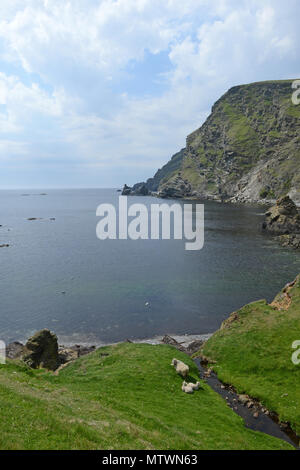 MV Braer aground in Garths Ness Shetland with it's hull now broken in ...