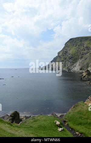 MV Braer aground in Garths Ness Shetland with it's hull now broken in ...