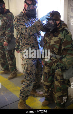 Cpl. James Ellison inspects a Marine’s M50 Joint Service General ...