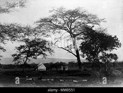 560 Sir David Bruce's, photograph album, Zululand 1894-1896. Wellcome ...
