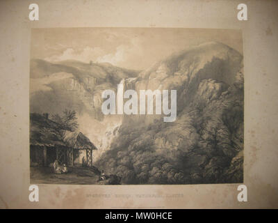 Peacocke Mr Grove's House, Waterfall, Kaitie Stock Photo - Alamy