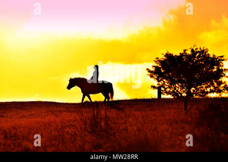 Sunset ride home to the stables Stock Photo - Alamy