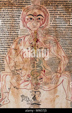 England, London, The Wellcome Collection, 18th century Indian ...
