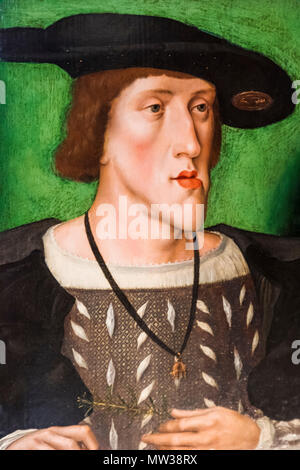 King Henry VII Stock Photo - Alamy