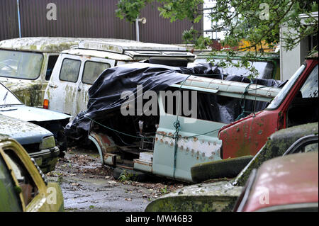abandoned classic cars rotting in a field, Triumph Stag and Lanchester ...