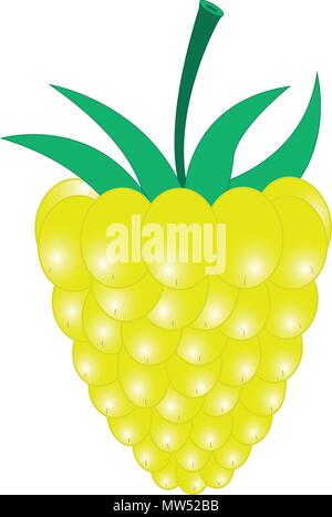 simple vector illustration of a raspberry, in a simple and clean style ...