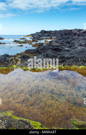 black volcanic rock pools along the coast at mosteiros Stock Photo - Alamy