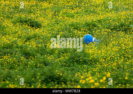 Balloon litter. A balloon has landed in a field. Released balloons can ...