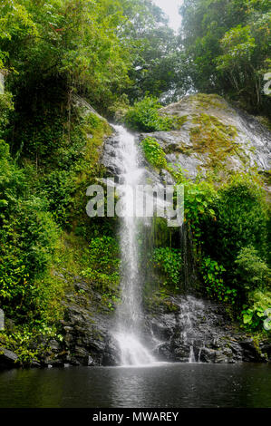 Waterfalls of Daintree Rainforest Stock Photo - Alamy