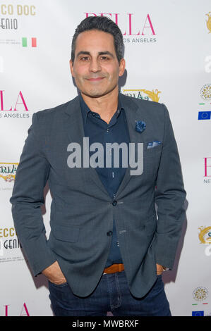 Alexa Ray Joel attends Bella Magazine's party for covergirl Alexa Ray ...