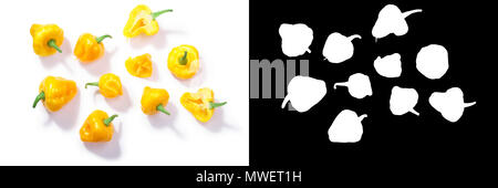 Trinidad Perfume chile peppers (Capsicum chinense), top view Stock ...