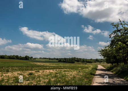 German countryside with forests, fields and meadows Stock Photo - Alamy