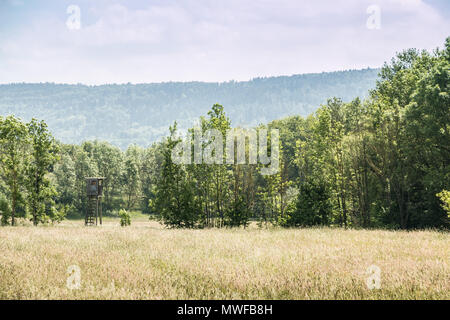 German countryside with forests, fields and meadows Stock Photo - Alamy